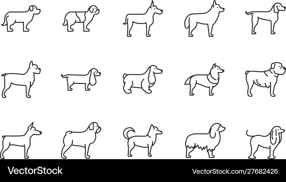Set dogs breed standing icons linear style Vector Image