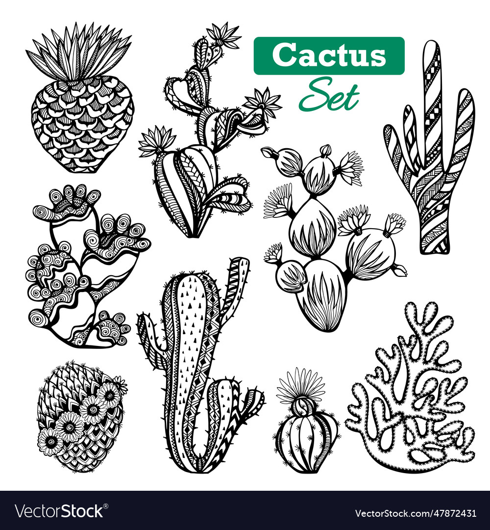 Cactus icons set icons set Royalty Free Vector Image Cactus icons set icons set Royalty Free Vector Image