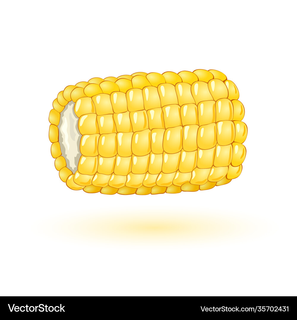 Cartoon piece corn Royalty Free Vector Image - VectorStock
