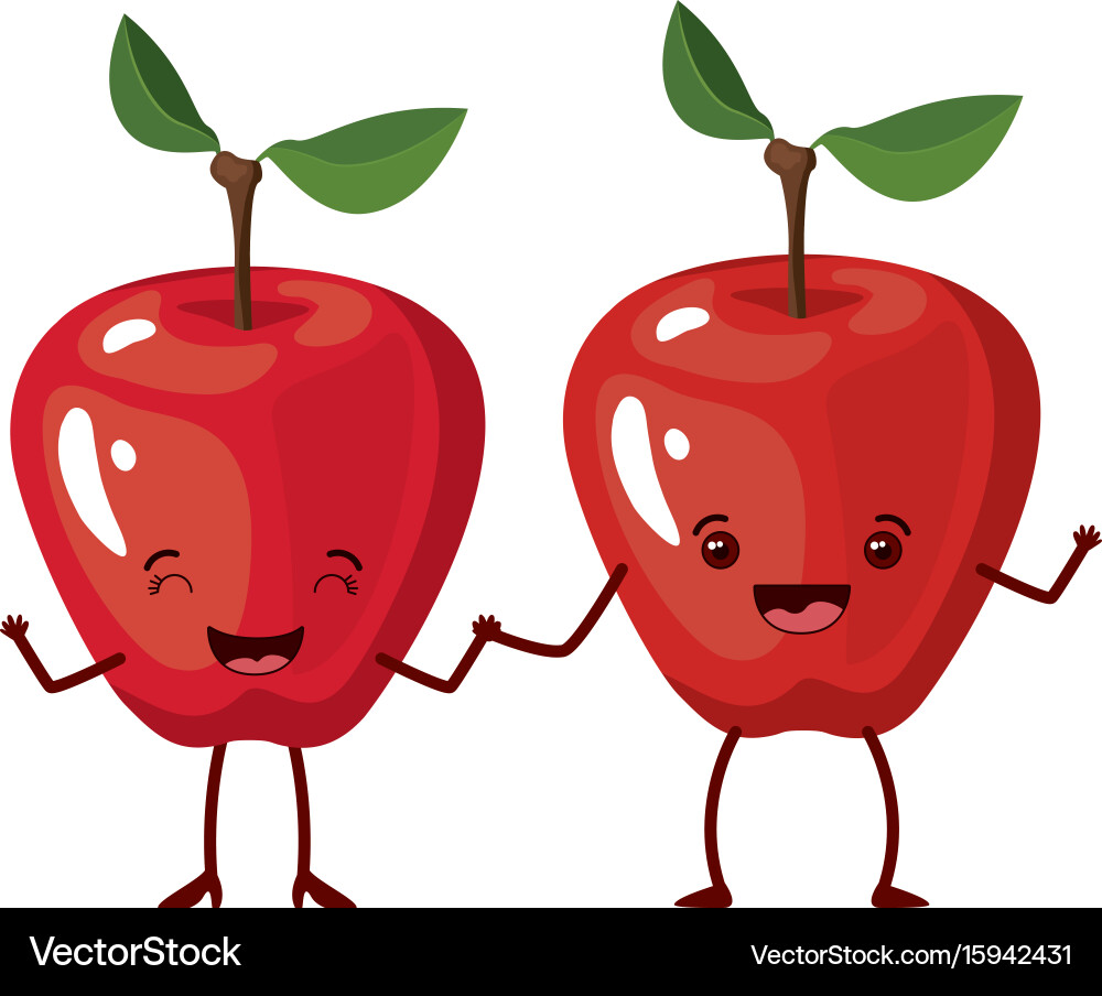 White background with realistic pair of apple Vector Image