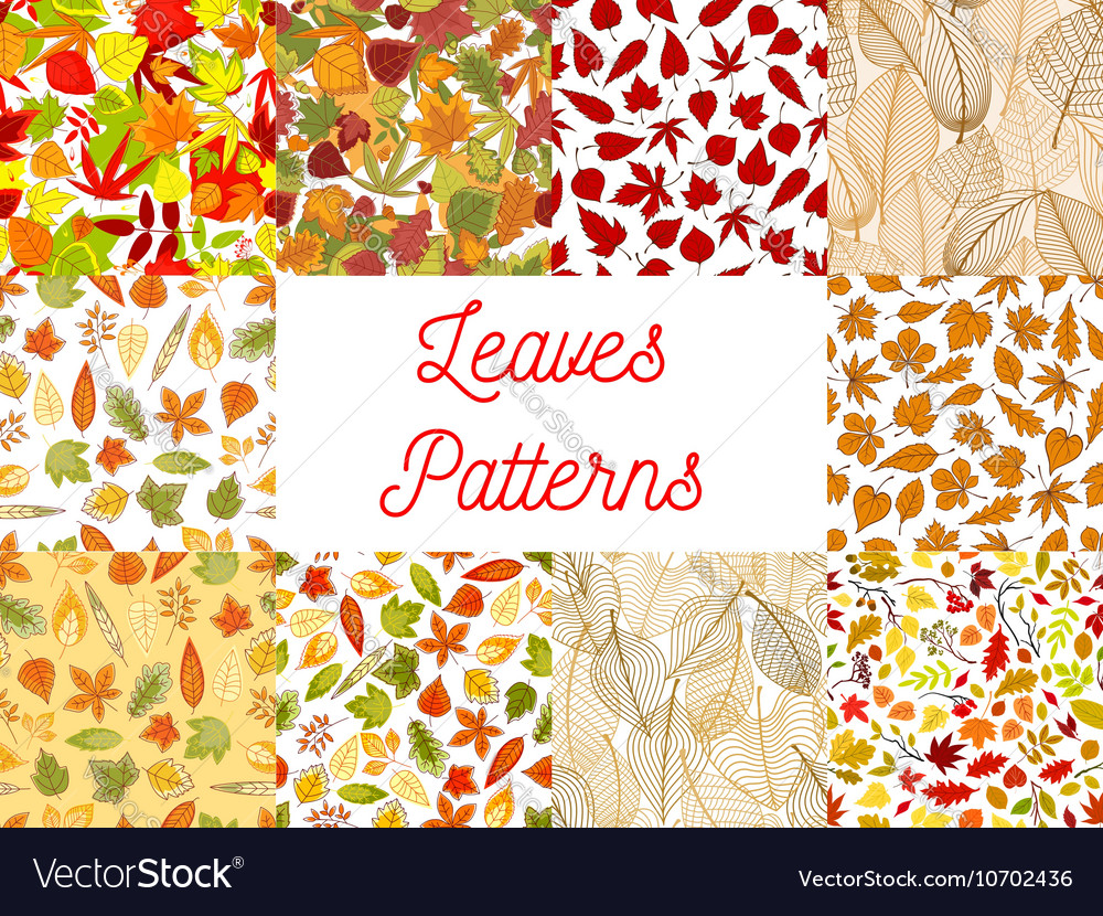 Autumn fallen leaves seamless patterns set Vector Image