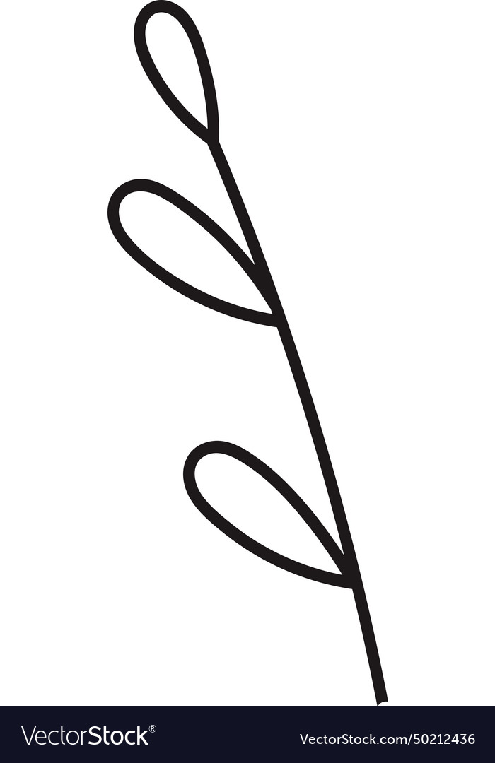 Branch with leaves outline Royalty Free Vector Image