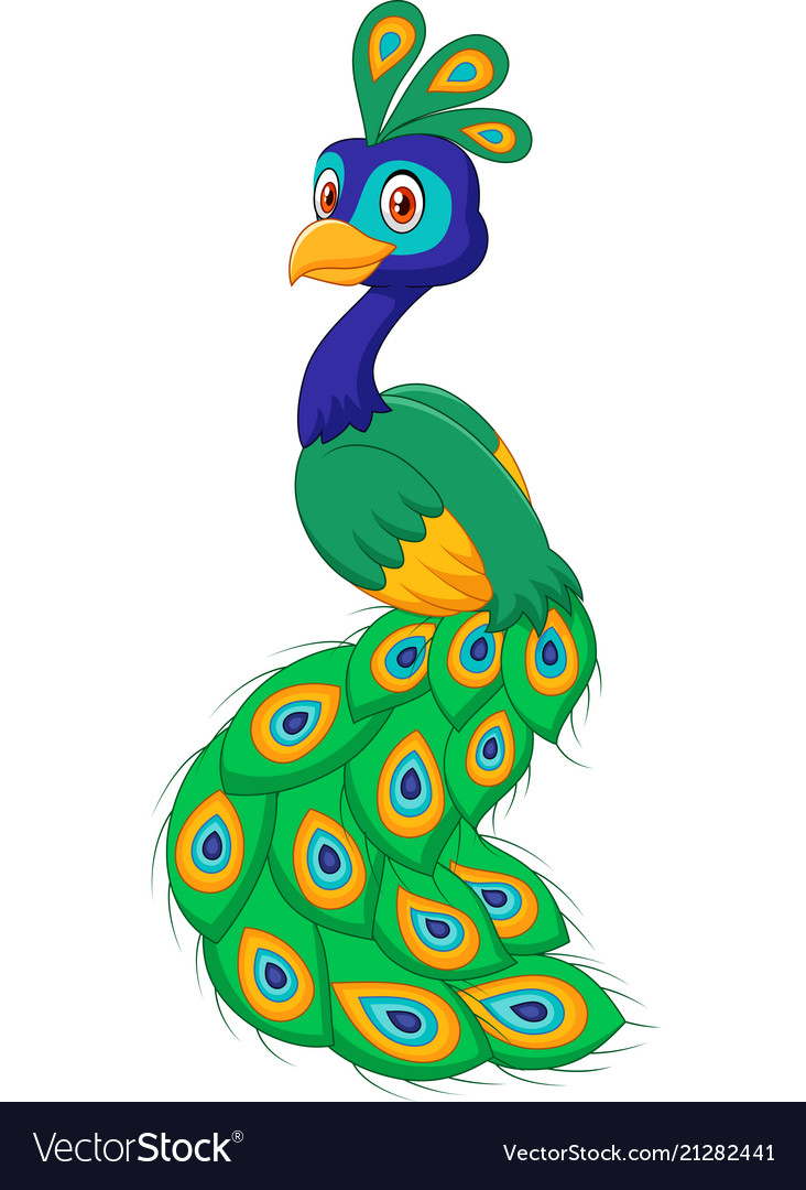 Cartoon Beauty Peacock Isolated On White Backgroun