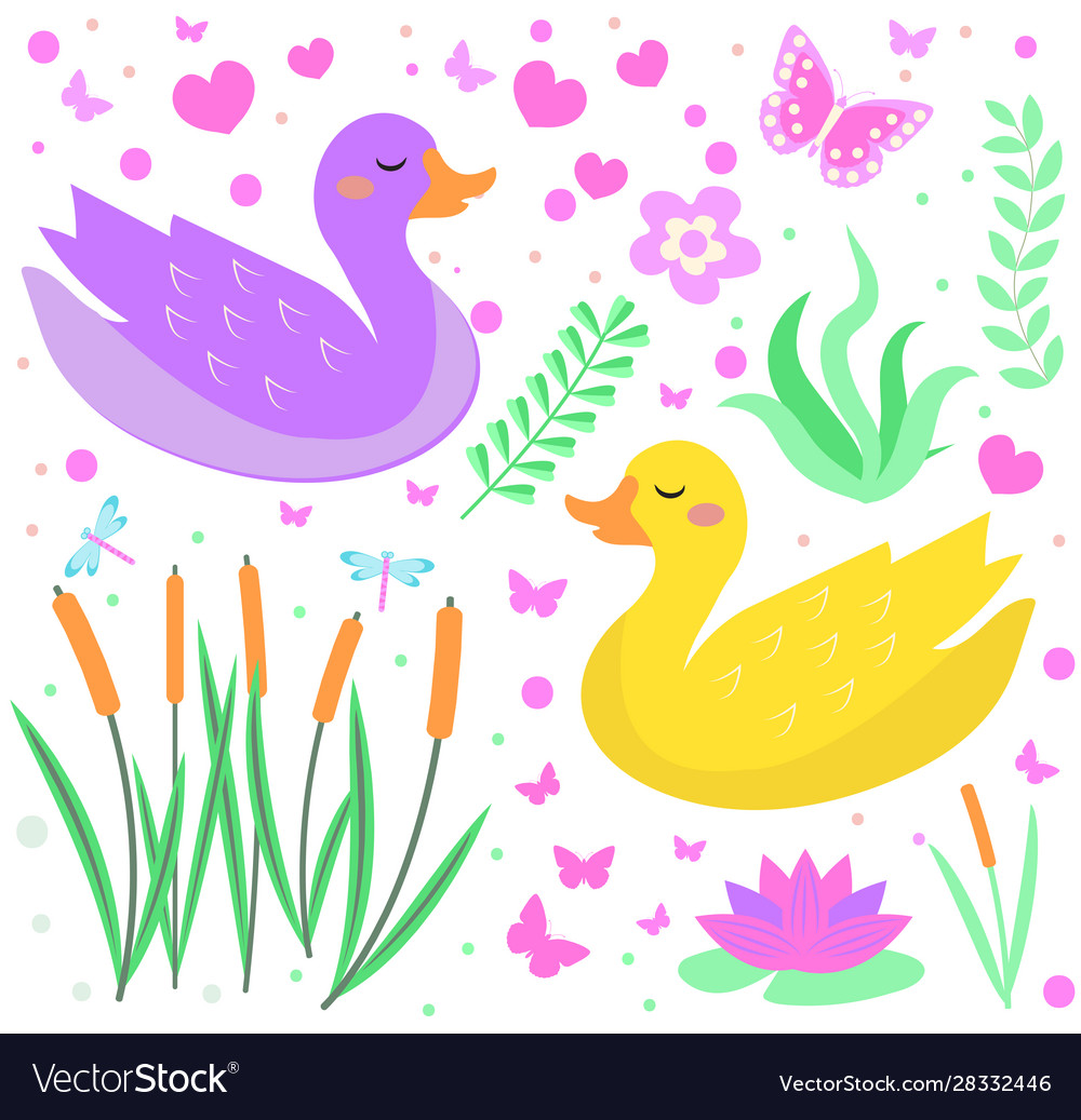 Cute duck set objects collection design elements Vector Image