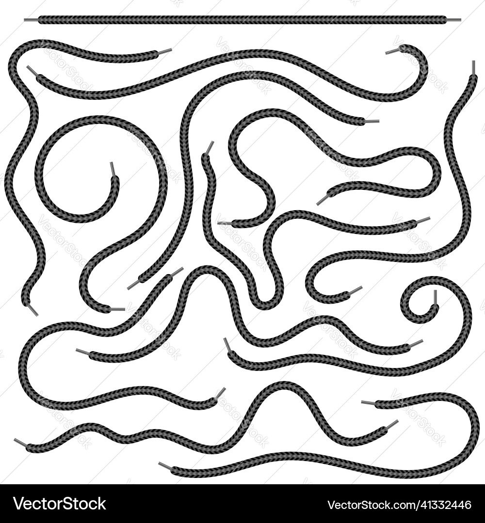 Grey shoelace icon isolated on white background Vector Image