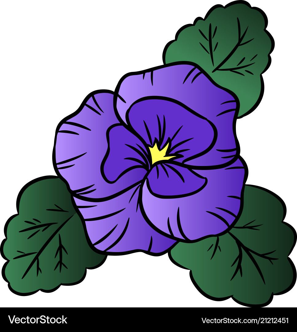 Pansy flower colorful Royalty Free Vector Image