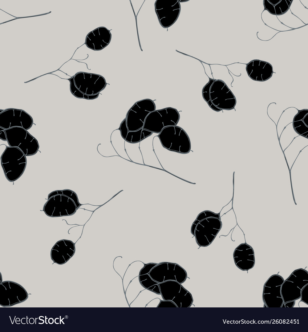 Seamless pattern with hand drawn stylized lunaria Vector Image