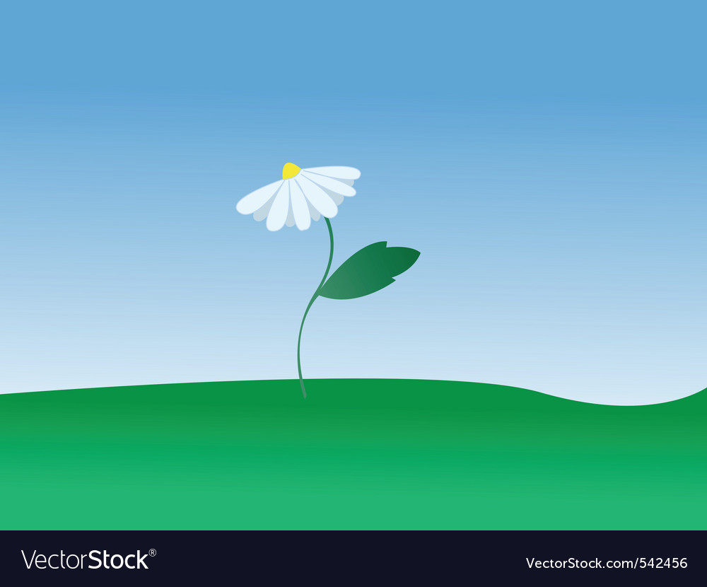 Daisy Royalty Free Vector Image - VectorStock