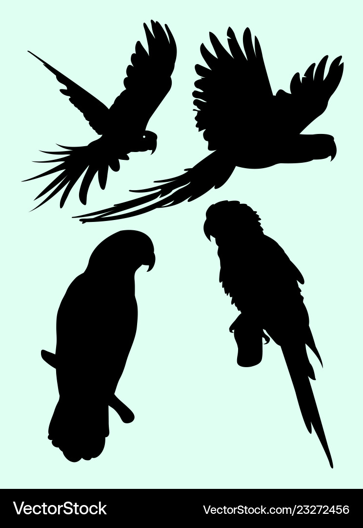Parrots animal silhouette Royalty Free Vector Image