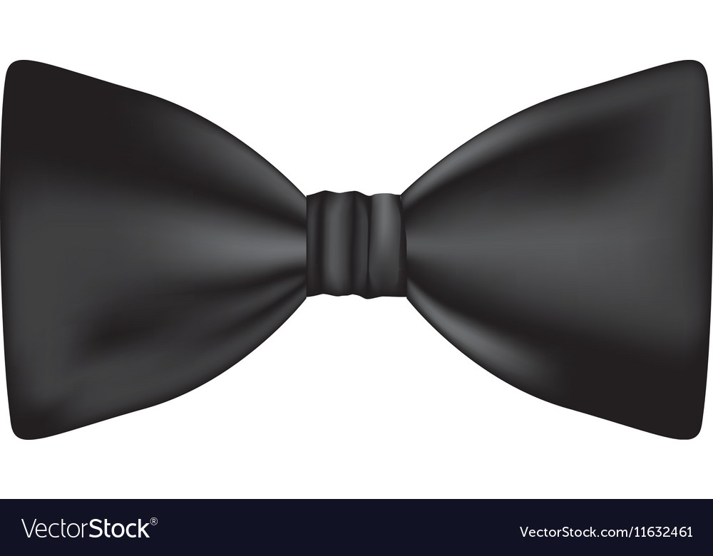 Satin bowtie design Royalty Free Vector Image - VectorStock