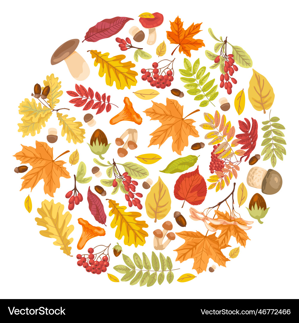 Autumn leaves and symbols in circle pattern Vector Image