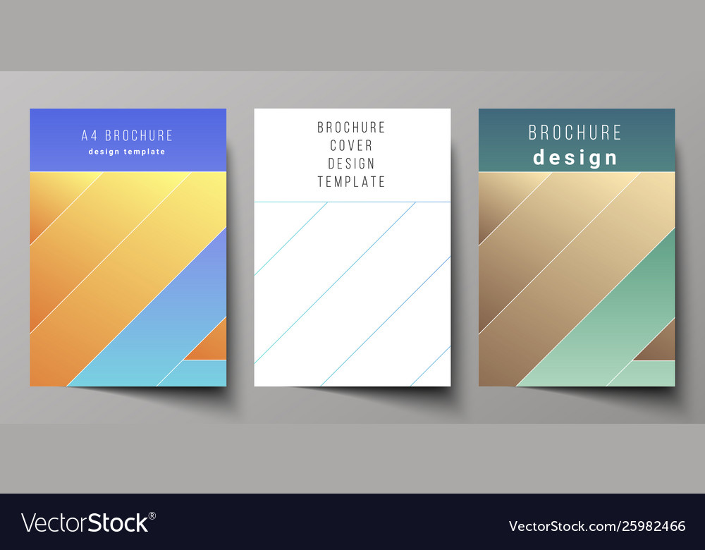 Editable layout a4 Royalty Free Vector Image - VectorStock