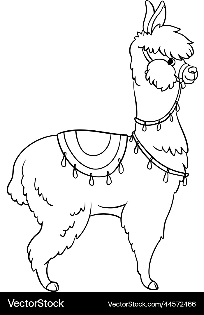 Llama isolated coloring page for kids Royalty Free Vector