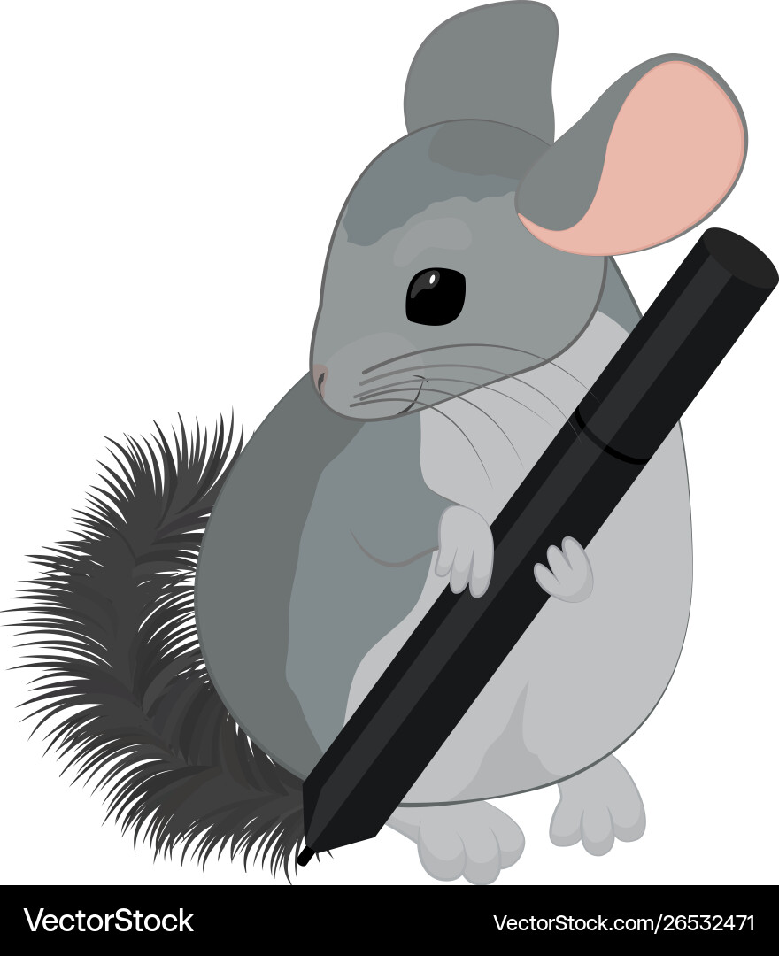 Chinchilla digital artist drawing or writing Vector Image