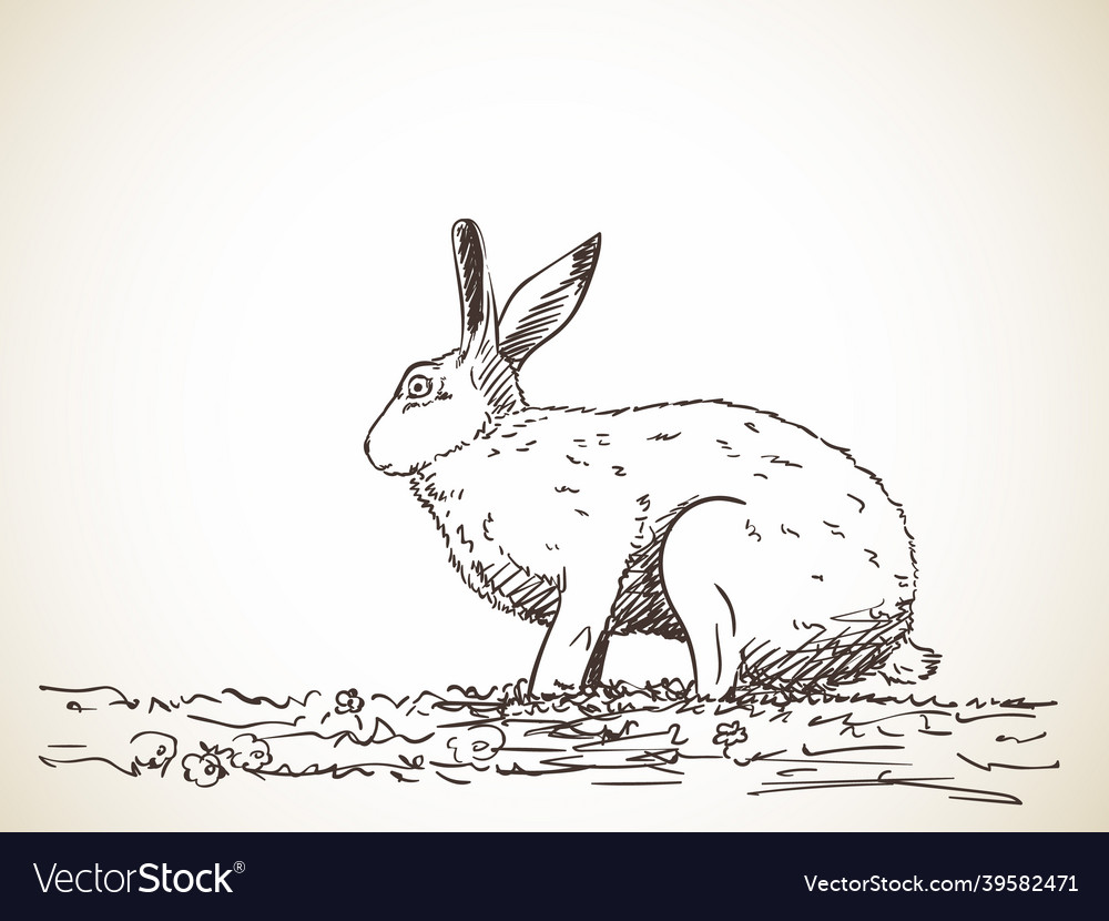 Rabbit Royalty Free Vector Image - VectorStock