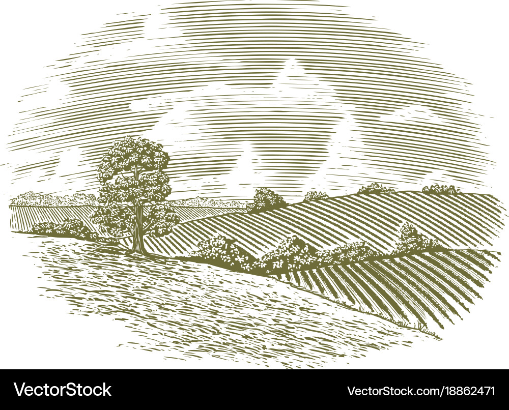 Woodcut vintage countryside Royalty Free Vector Image