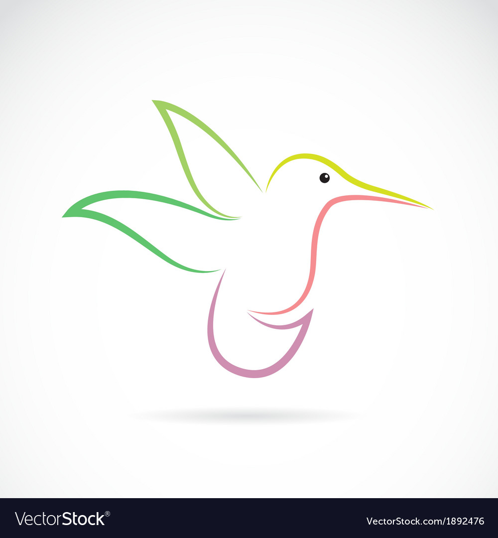 Hummingbird Royalty Free Vector Image - VectorStock