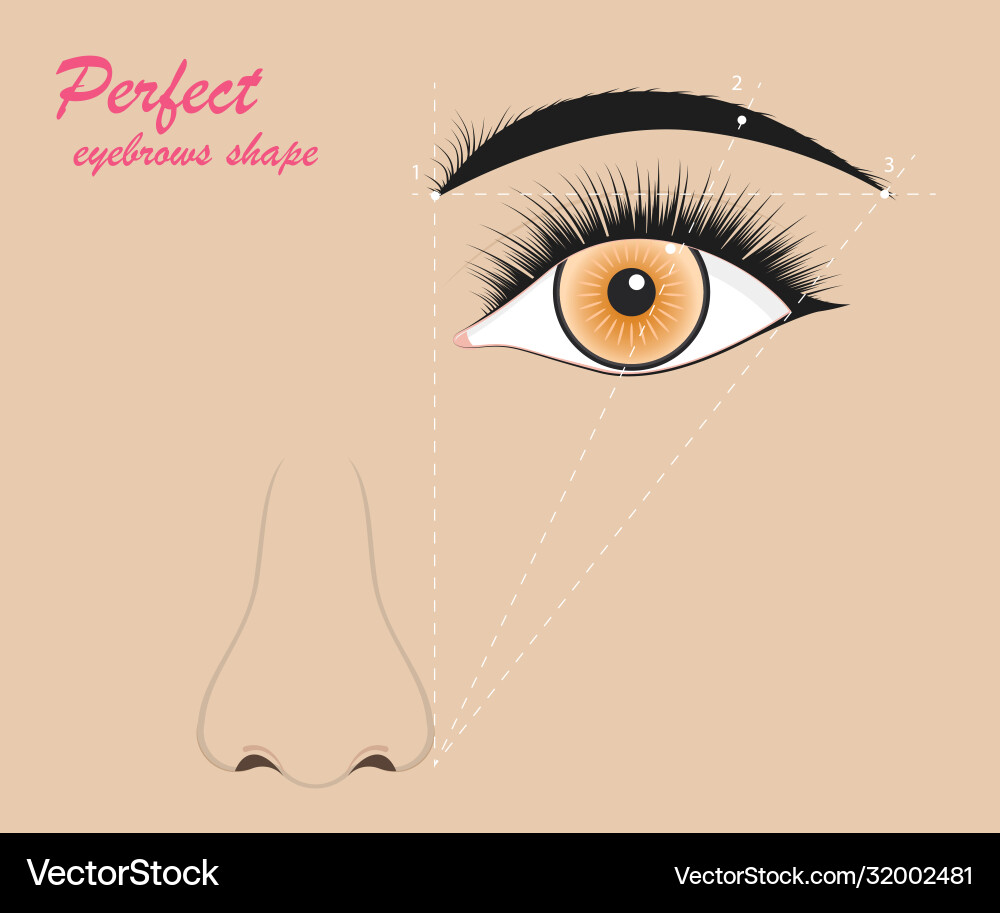 Perfect eyebrow scheme banner concept ad poster Vector Image