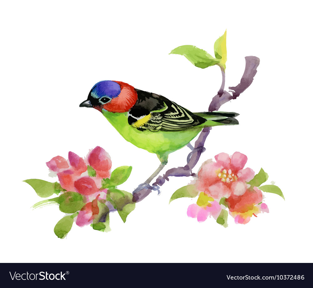 Bird on watercolor blooming tree Royalty Free Vector Image