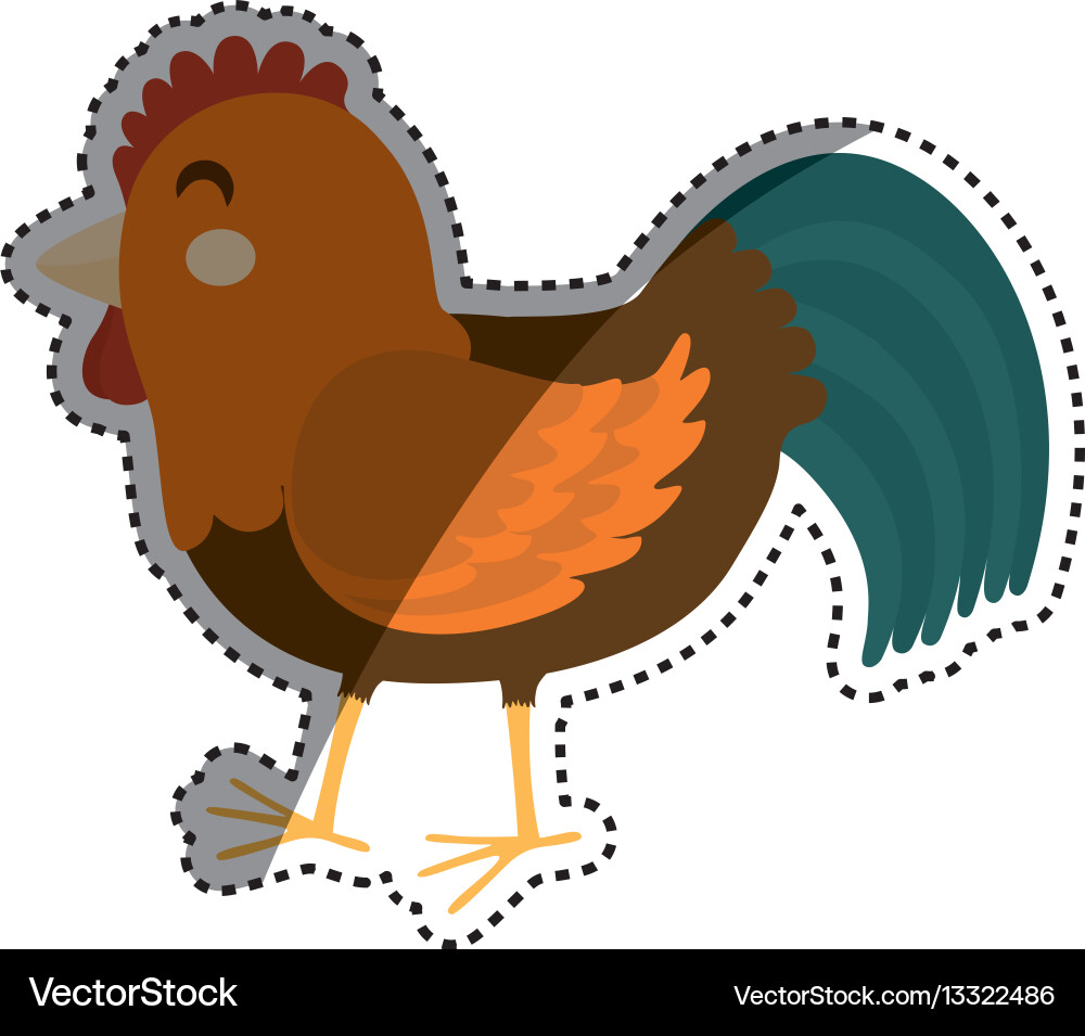 Chicken farm animal Royalty Free Vector Image - VectorStock