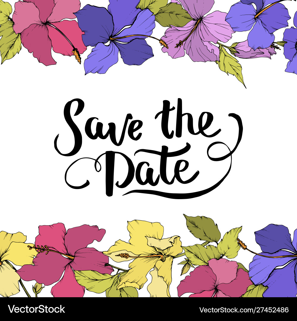 Hibiscus floral botanical flower engraved Vector Image