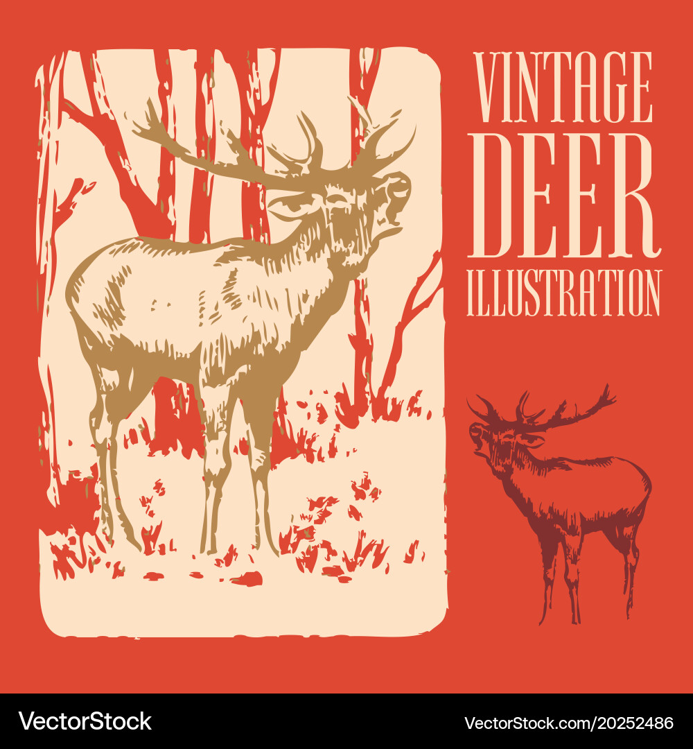 Vintage animal design deer Royalty Free Vector Image