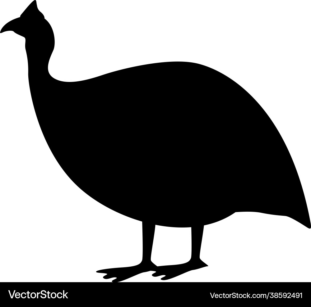 Guinea fowl bird flat style side Royalty Free Vector Image