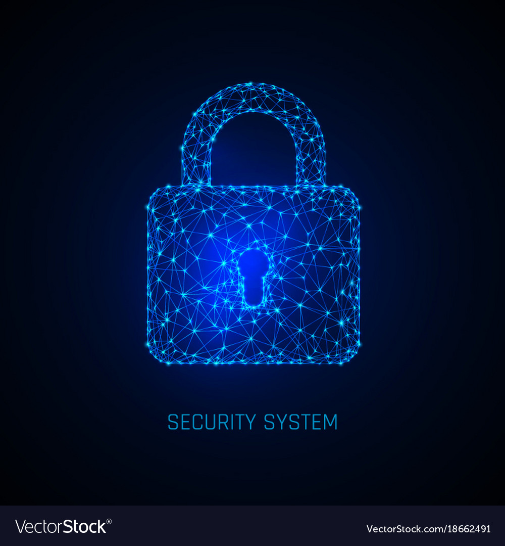 Secure digital space programming protection Vector Image