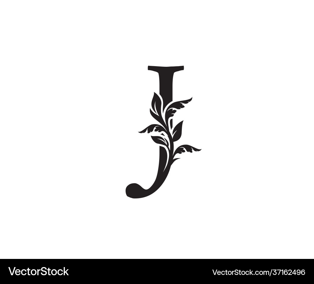 Classic letter j heraldic logo vintage Royalty Free Vector