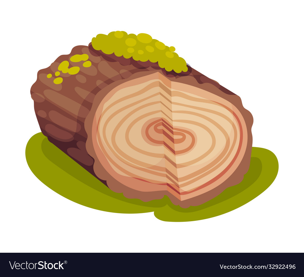 Log covered with green moss as forest element Vector Image