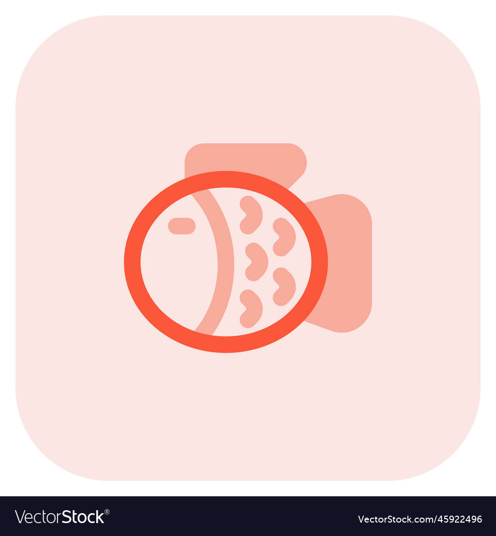 Taiyaki waffle light Royalty Free Vector Image Taiyaki waffle light Royalty Free Vector Image