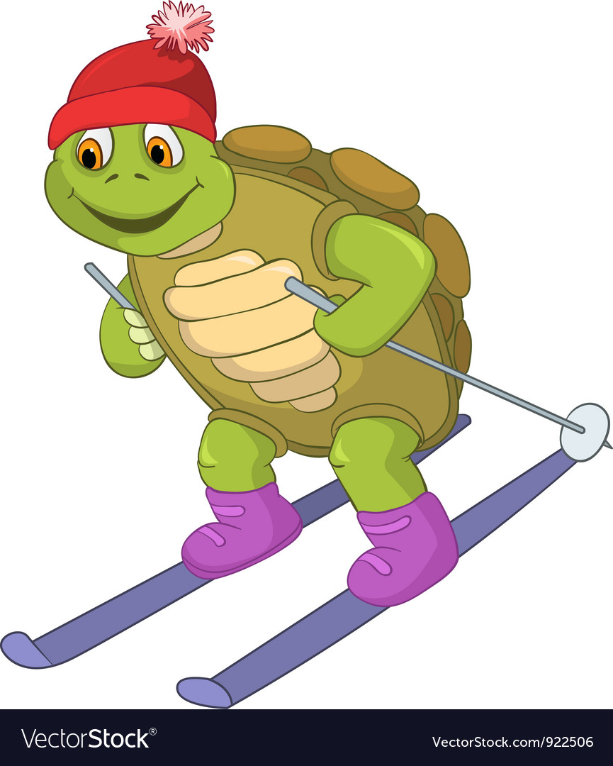 Funny turtle skiing Royalty Free Vector Image - VectorStock