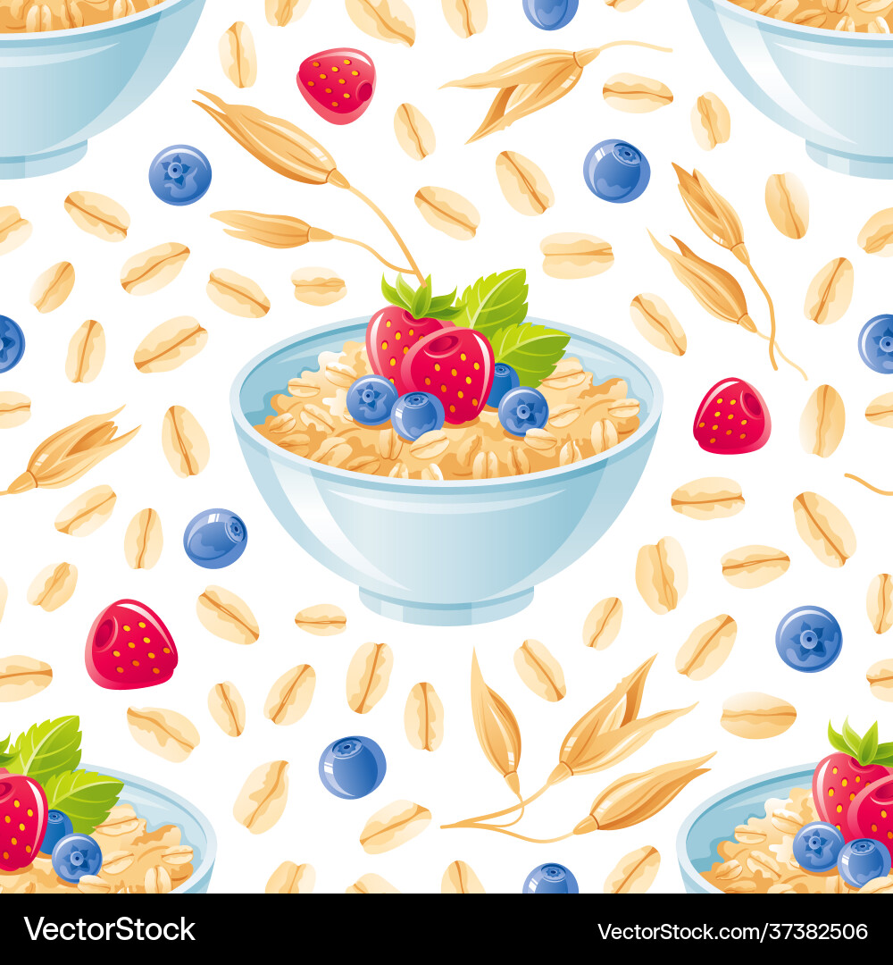 Oat meal pattern bowl with granola muesli oat Vector Image