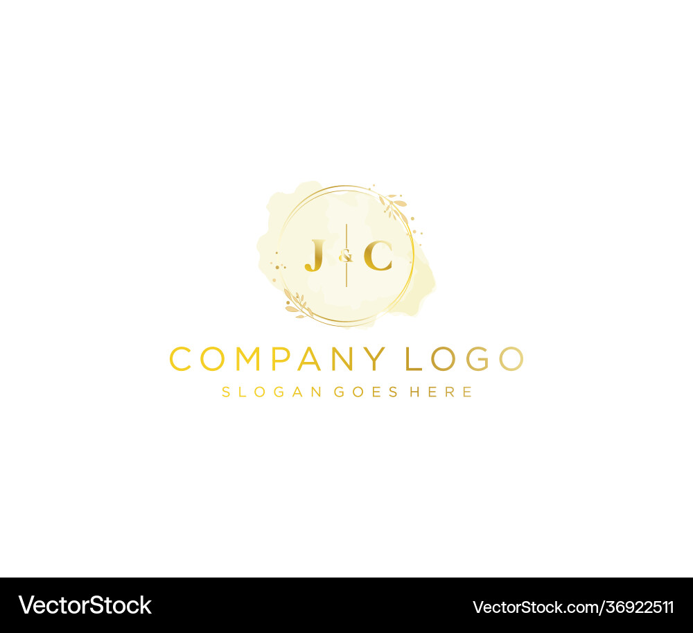 Initial jc letters colorful watercolor splash Vector Image