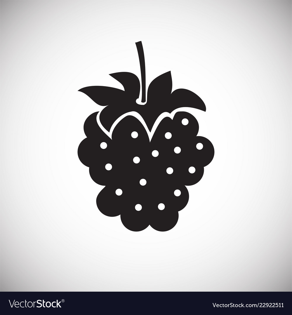 Raspberry on white background Royalty Free Vector Image