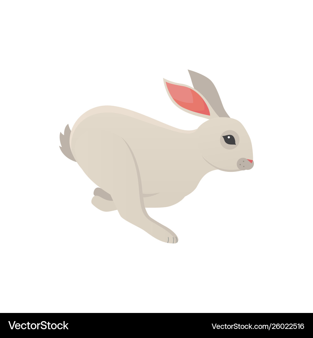 Cartoon rabbit isolated icon fine bunny Royalty Free Vector