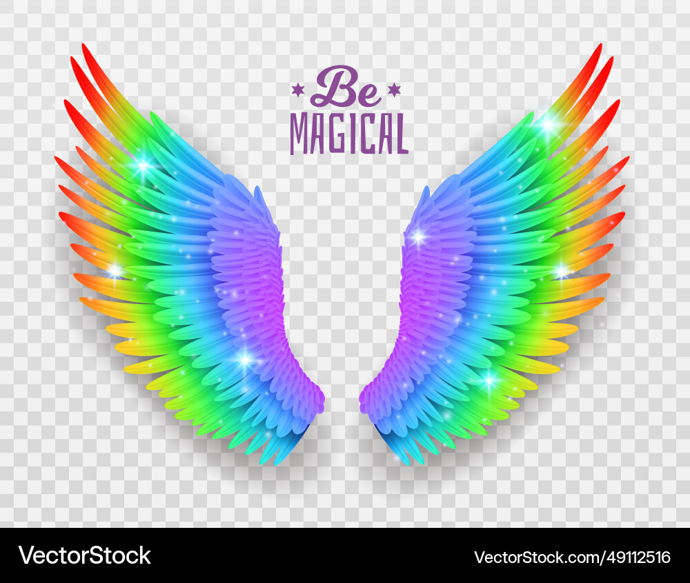 Rainbow wings realistic bright freedom symbol Vector Image