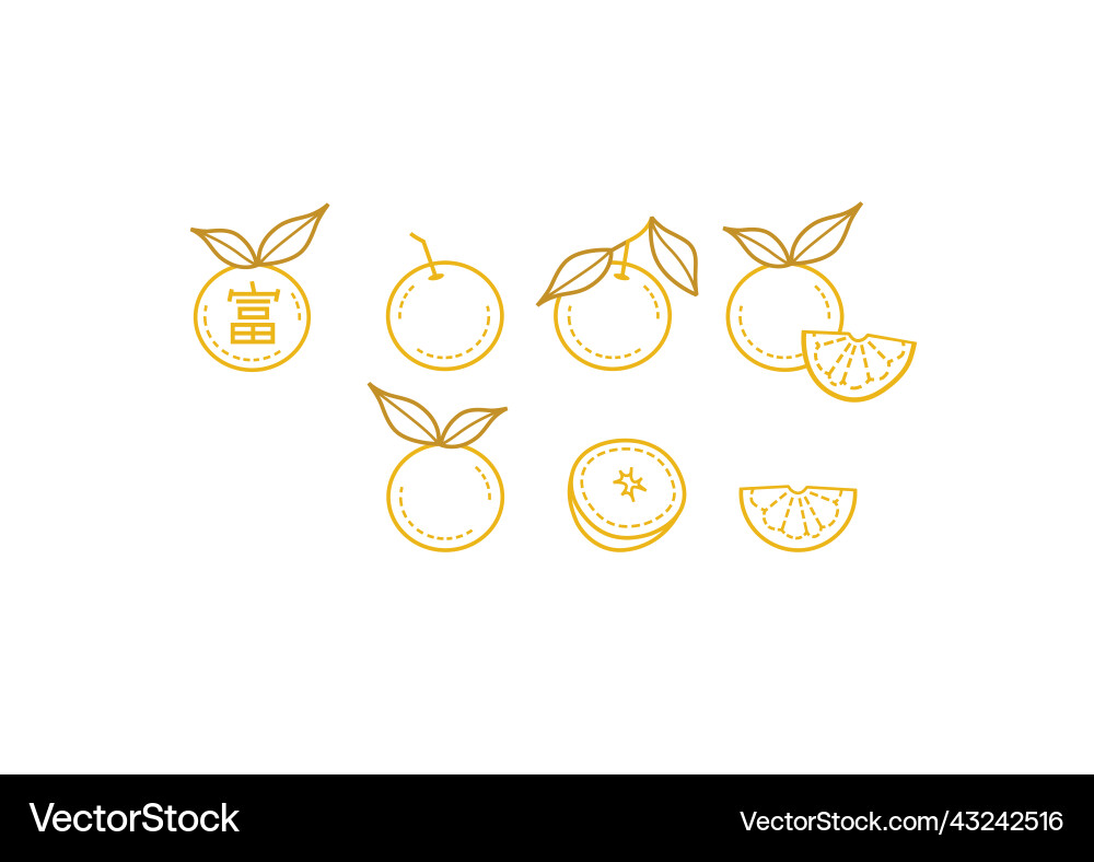 Set with line art orange whole and cut chinese Vector Image