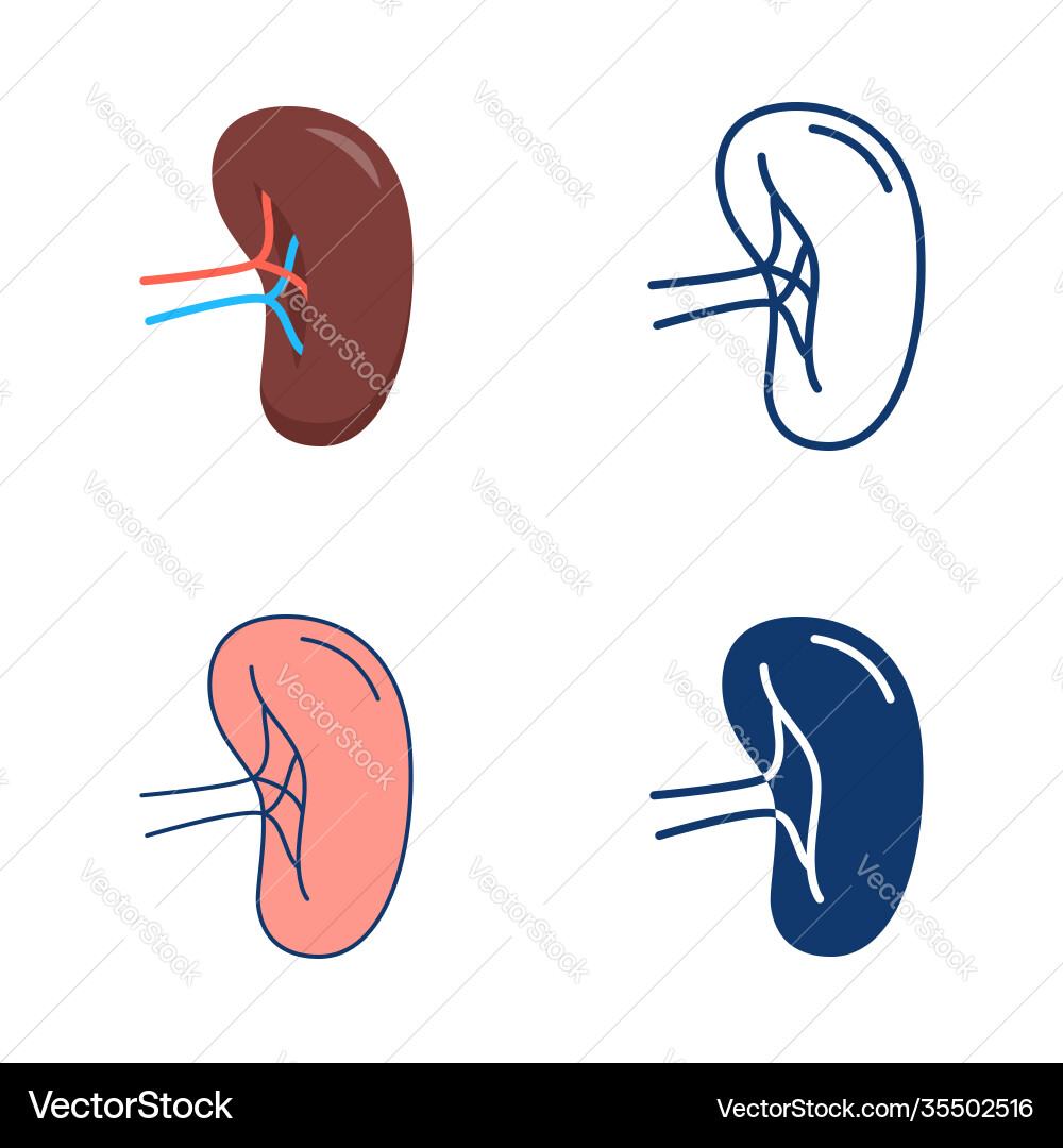 Spleen icon set in flat and line style Royalty Free Vector