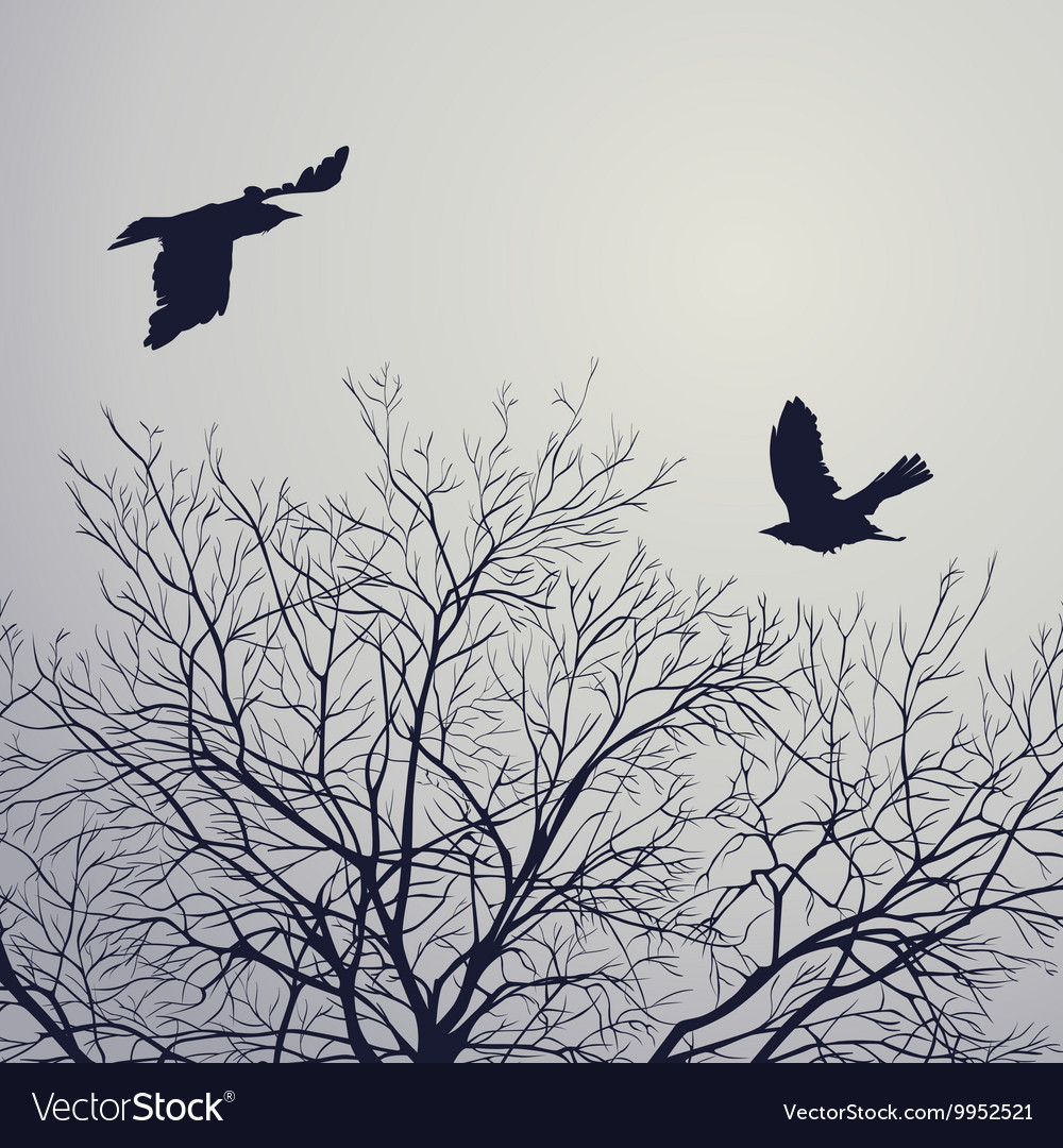 Crow and tree Royalty Free Vector Image - VectorStock