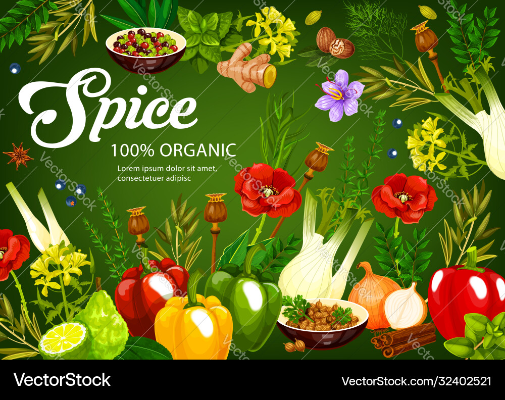 Herbs spices seasonings vegetables condiments Vector Image