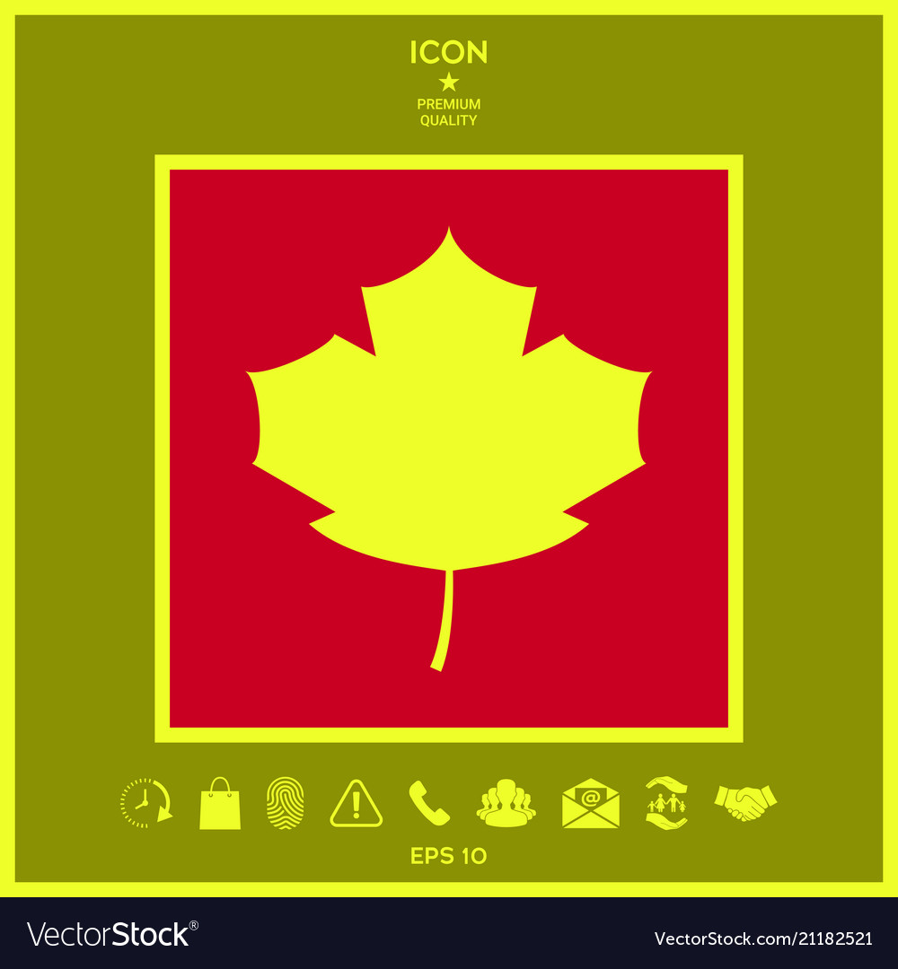 Maple leaf icon Royalty Free Vector Image - VectorStock