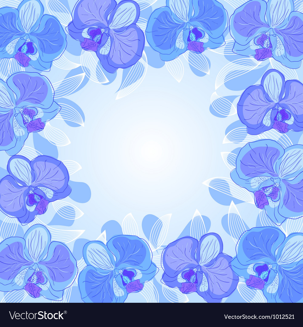 Orchid frame Royalty Free Vector Image - VectorStock