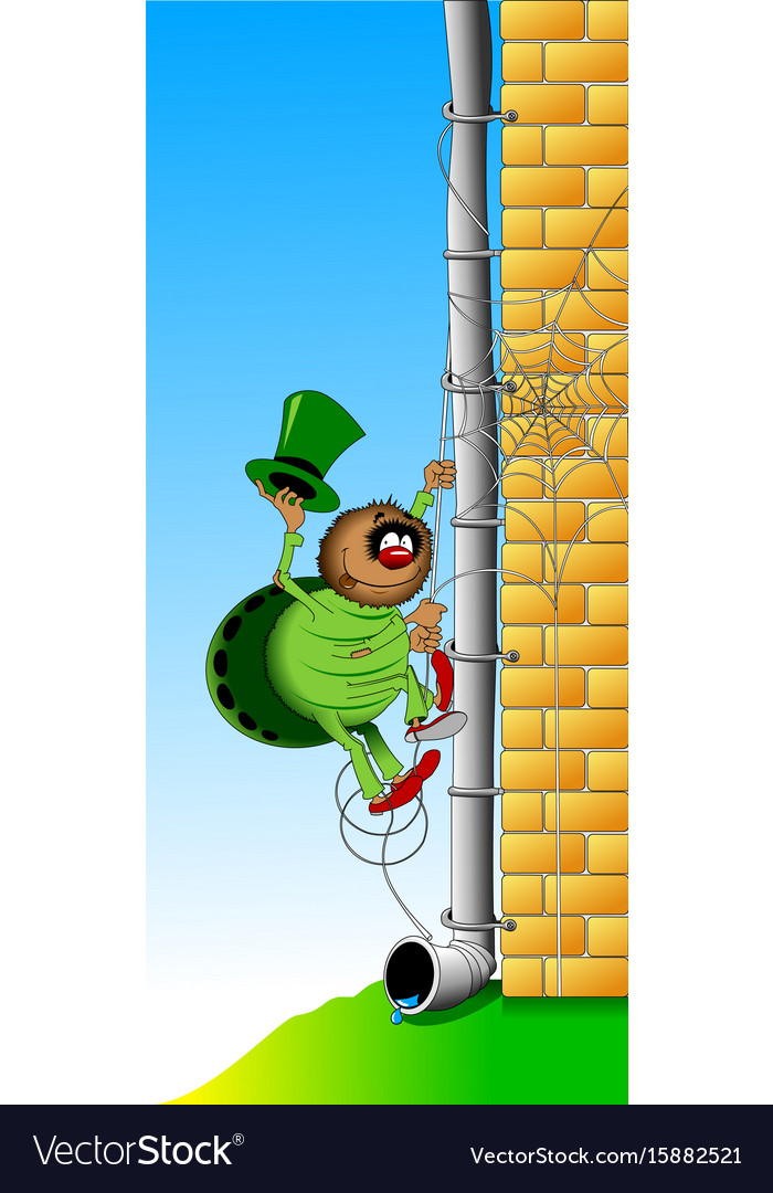 Spider on wall Royalty Free Vector Image - VectorStock