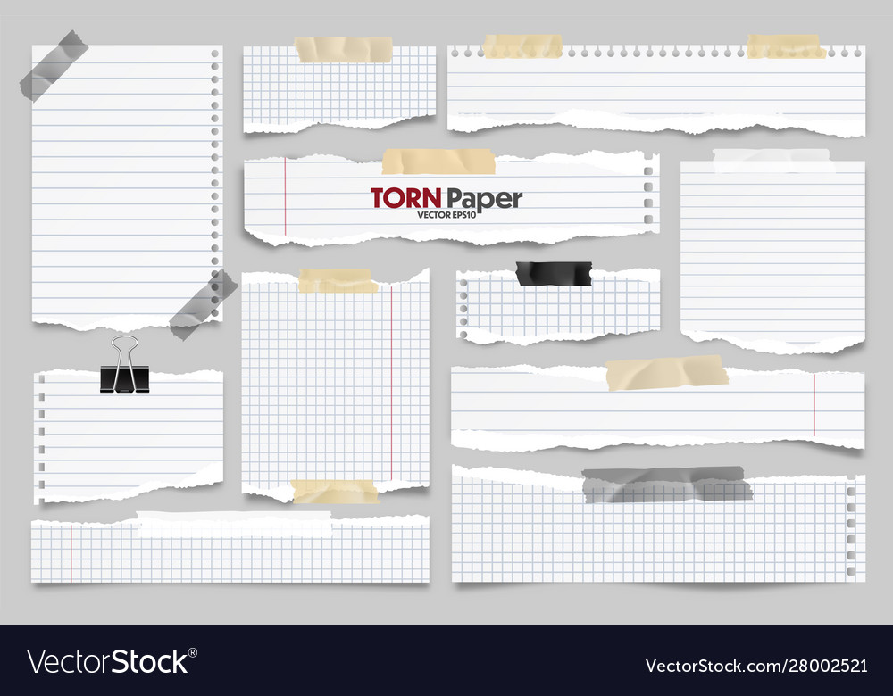 White ripped lined paper strips collection Vector Image