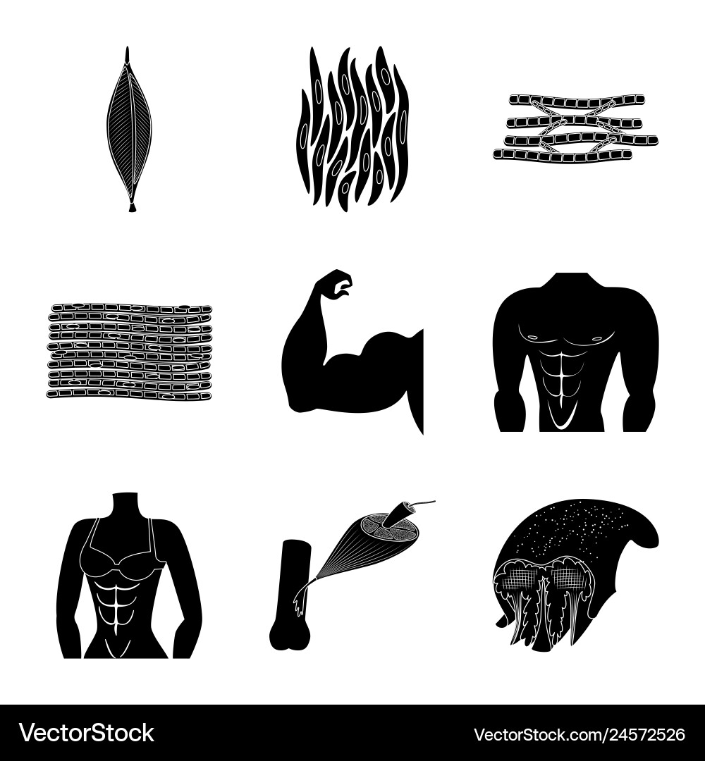 Human and body sign set Royalty Free Vector Image