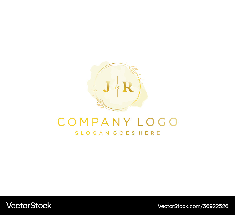Initial jr letters colorful watercolor splash Vector Image