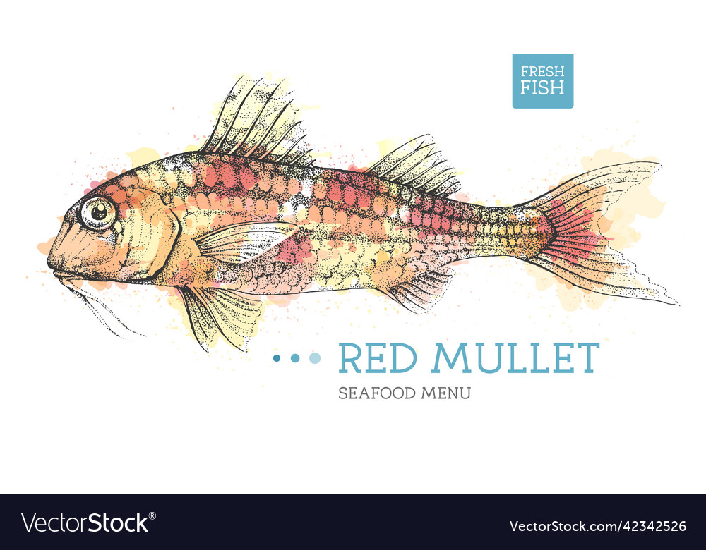 Welkom op Stal Prinsenhof | Stal Prinsenhof