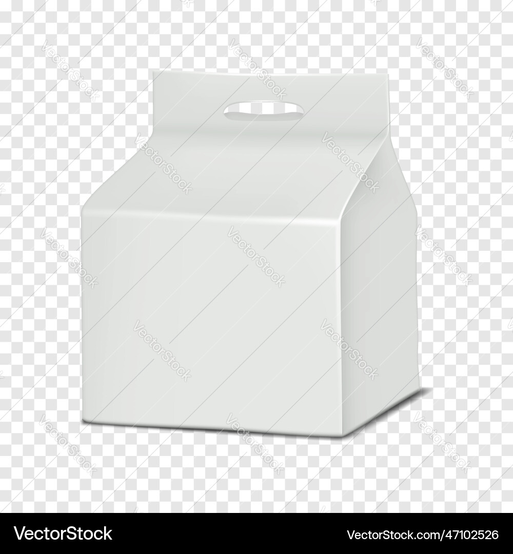 Square box-shaped bag with die cut handles Vector Image