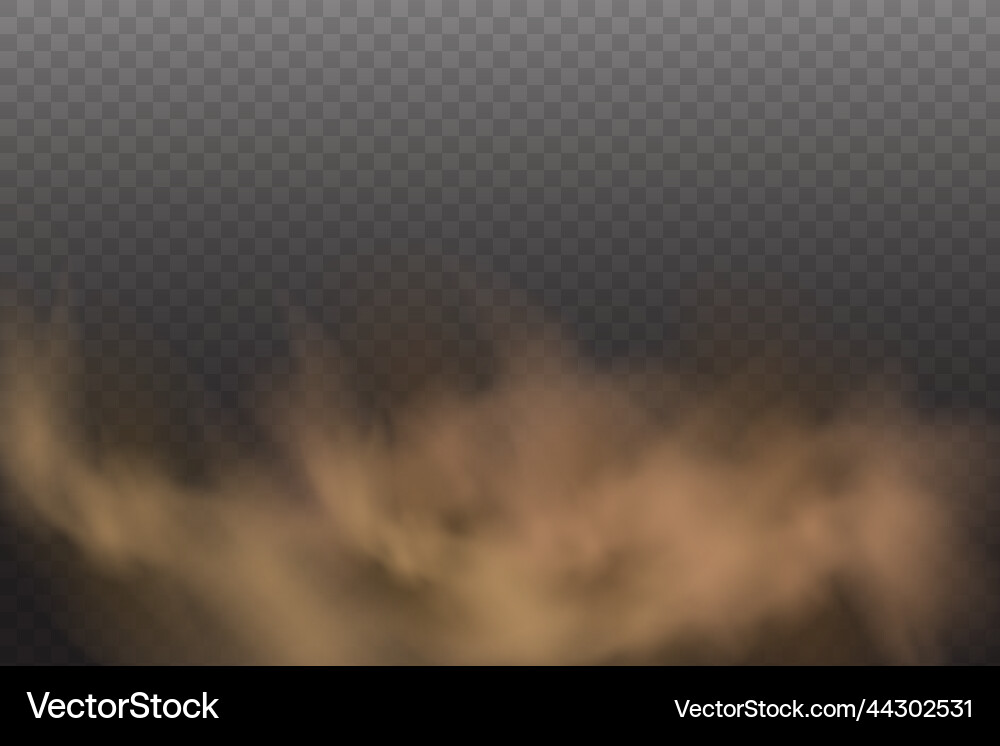 Dust cloud with dirtcigarette smoke smog soil Vector Image